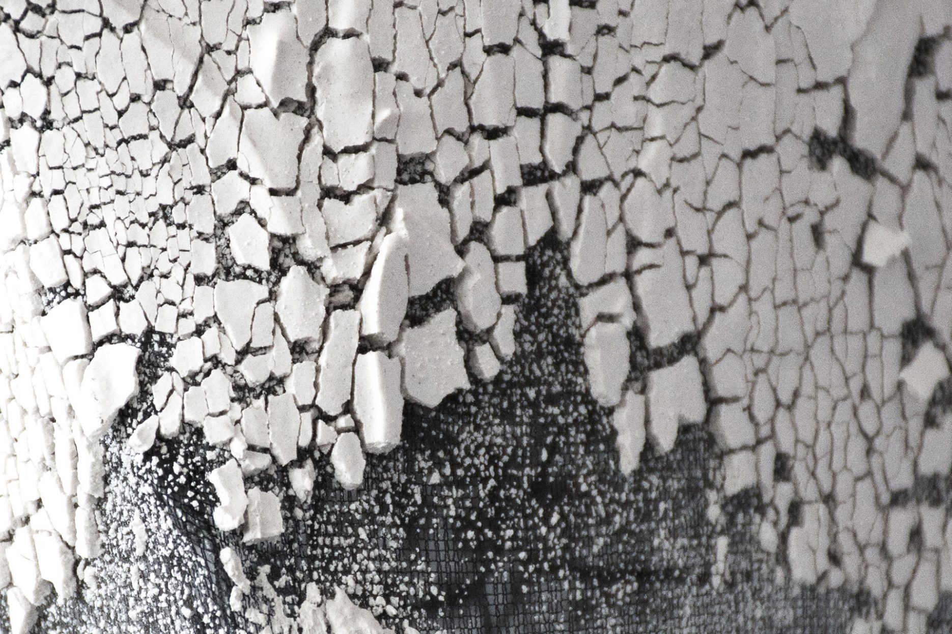 material force – kathrin alischer