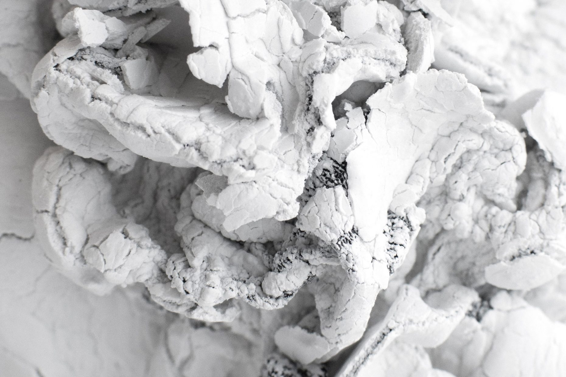 material force – kathrin alischer