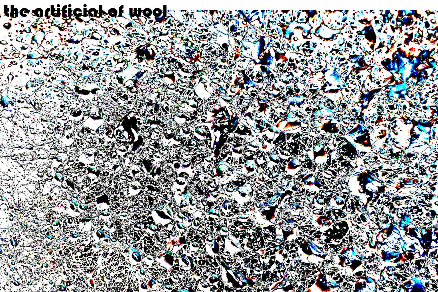 immaterial wool – kathrin alischer